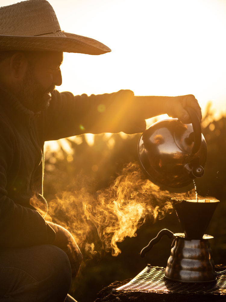 All Specialty Coffee – Mecca Coffee