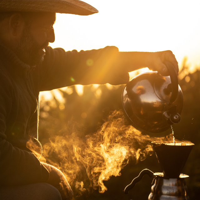 All Specialty Coffee – Mecca Coffee